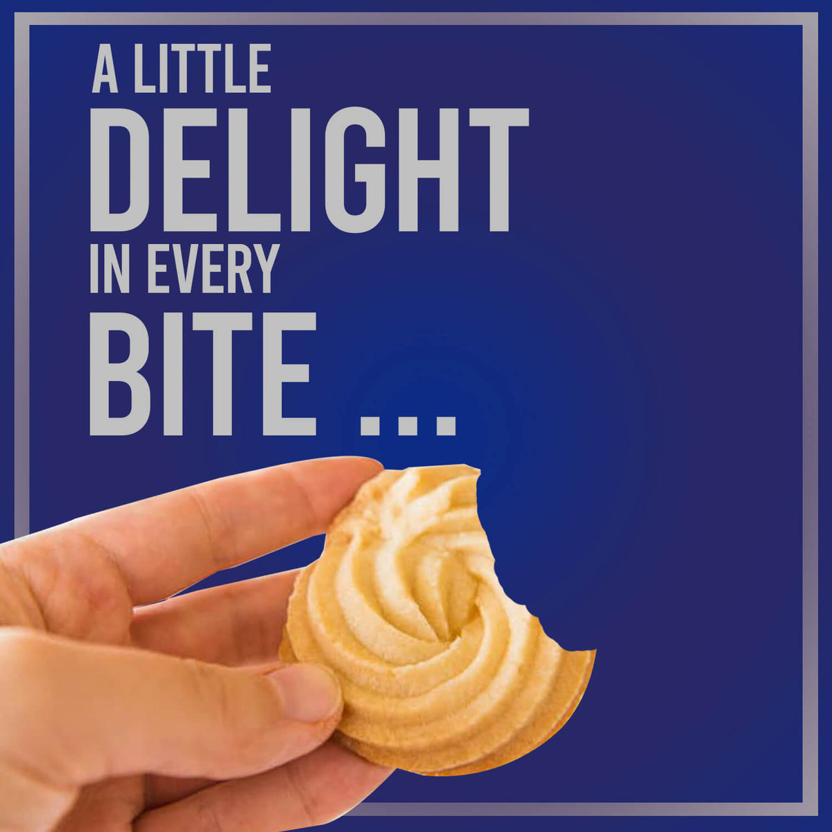 Silver Collection Butter Cookies Assorted 350g – Sapphire Confectionery
